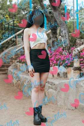 Gatitas | Gatitas Megaplaza