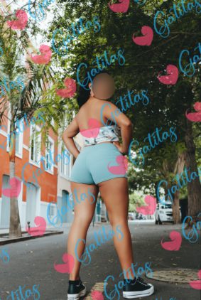 Gatitas | Gatitas Megaplaza