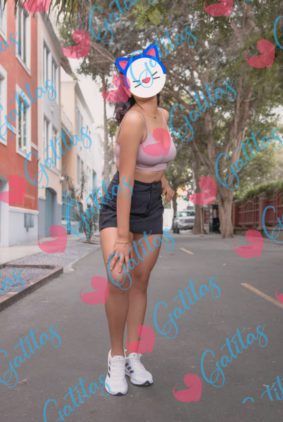 Gatitas | Gatitas Megaplaza